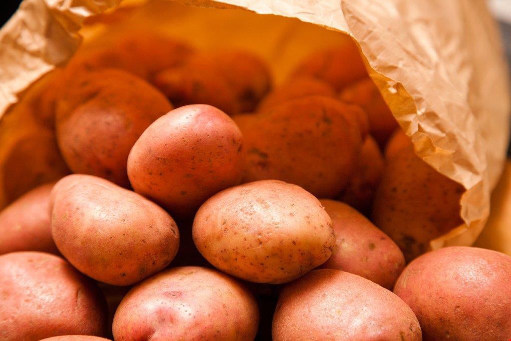 Norske poteter i vinden | NorgesGruppen