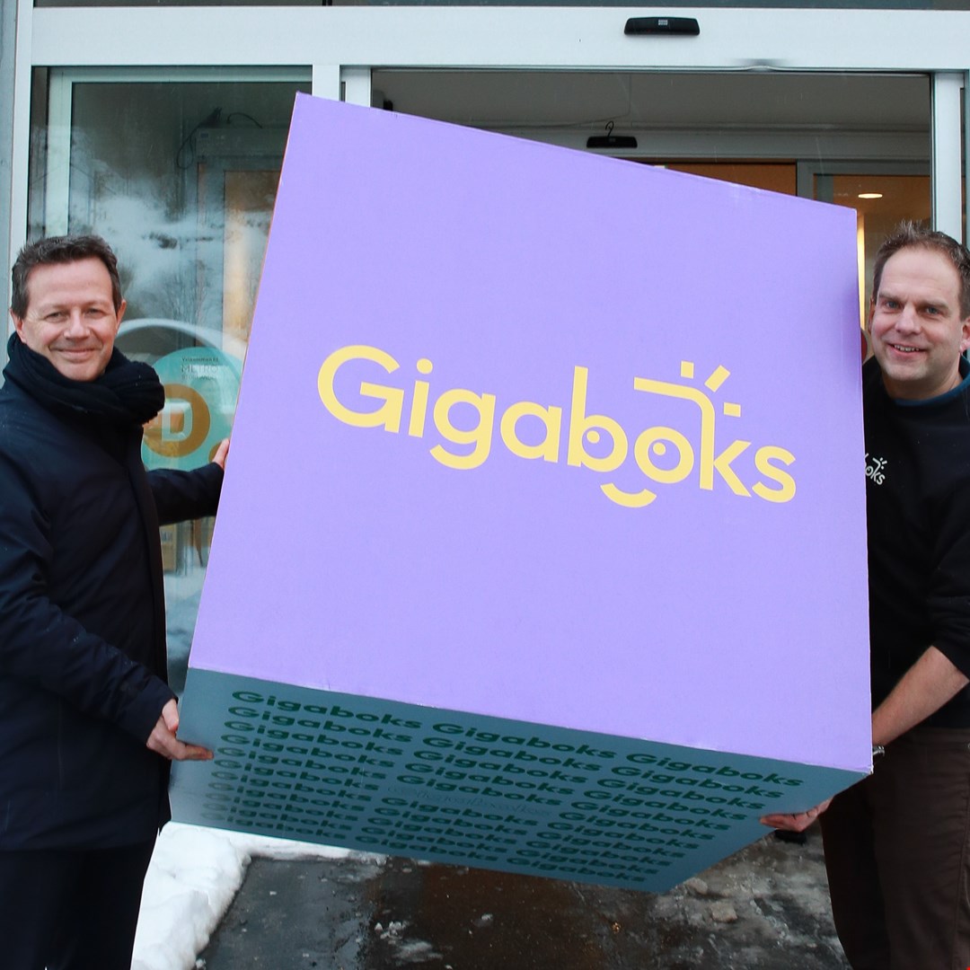Gigaboks: NorgesGruppen lanserer ny storhandelskjede - NorgesGruppen
