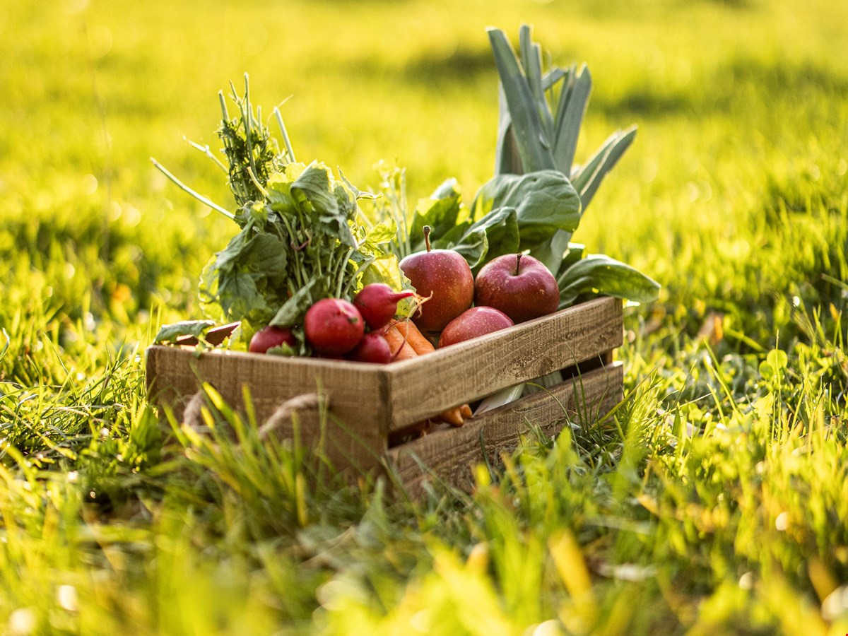 NorgesGruppen vil prioritere norsk frukt, bær og grønnsaker | NorgesGruppen