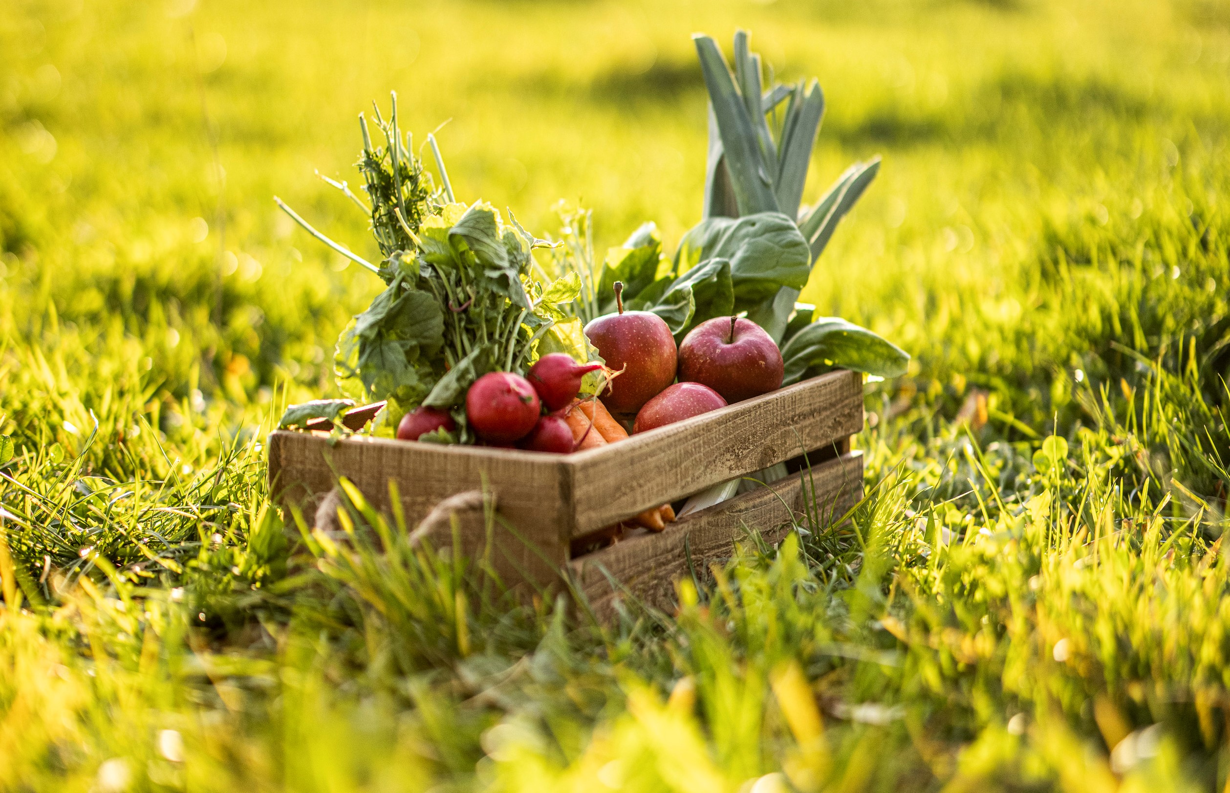 NorgesGruppen vil prioritere norsk frukt, bær og grønnsaker | NorgesGruppen